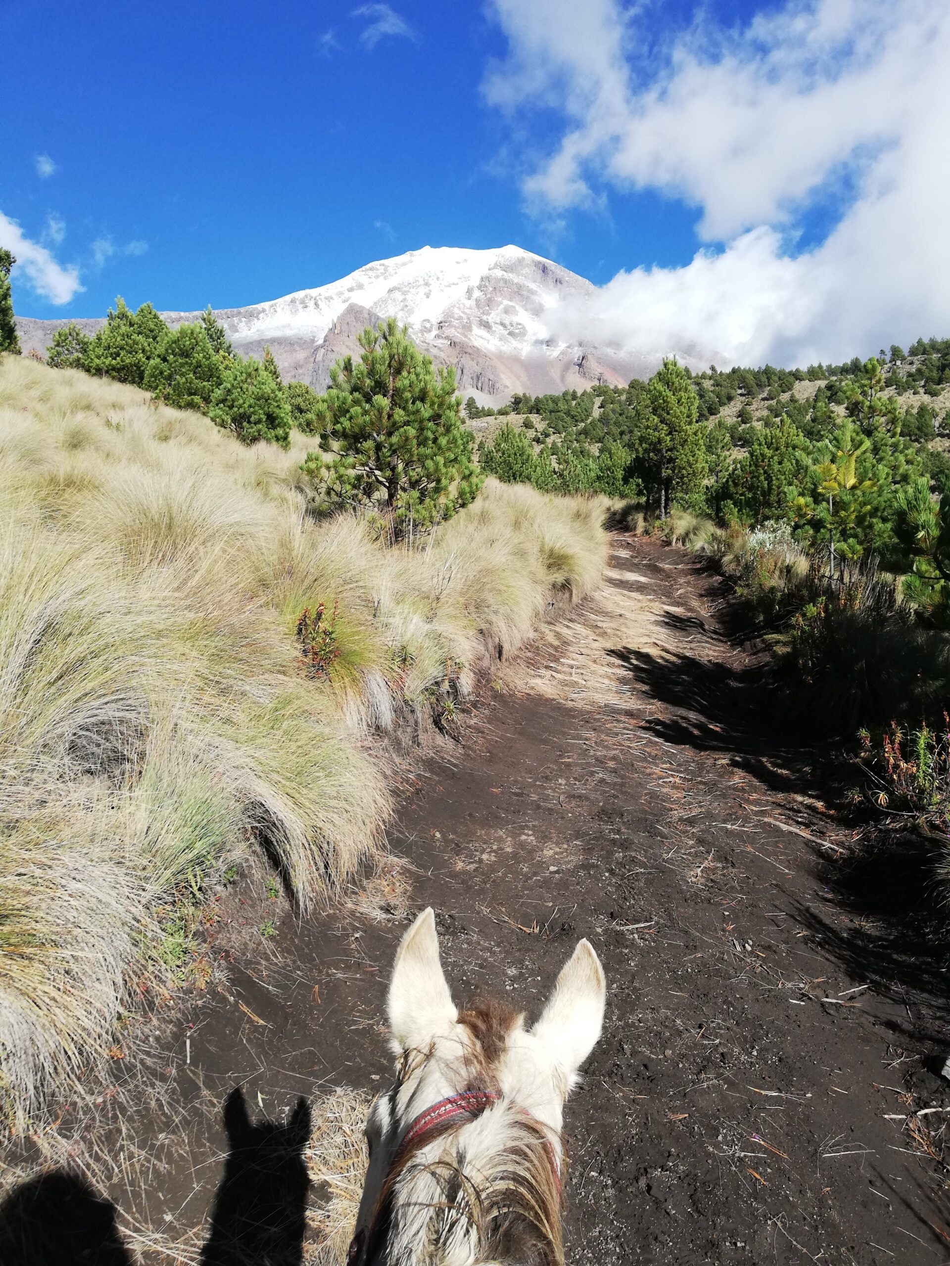 Pico de Orizaba, nuestra experiencia real y lo que necesitas saber