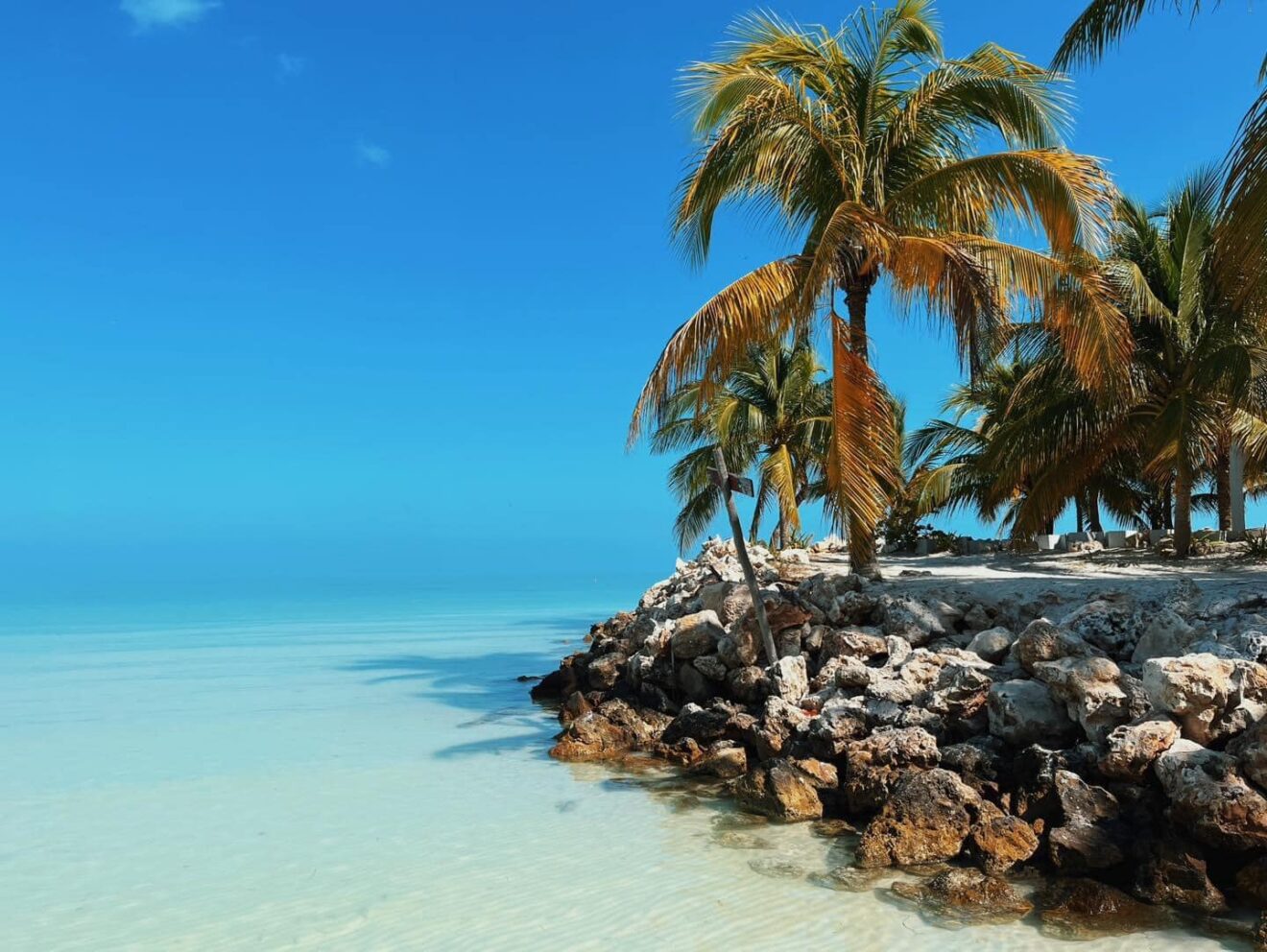 Como llegar a Holbox desde Cancún y Playa del Carmen